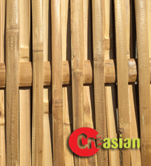 Bamboo Fencing - Bamboo fences Rolled, Bamboo Panels